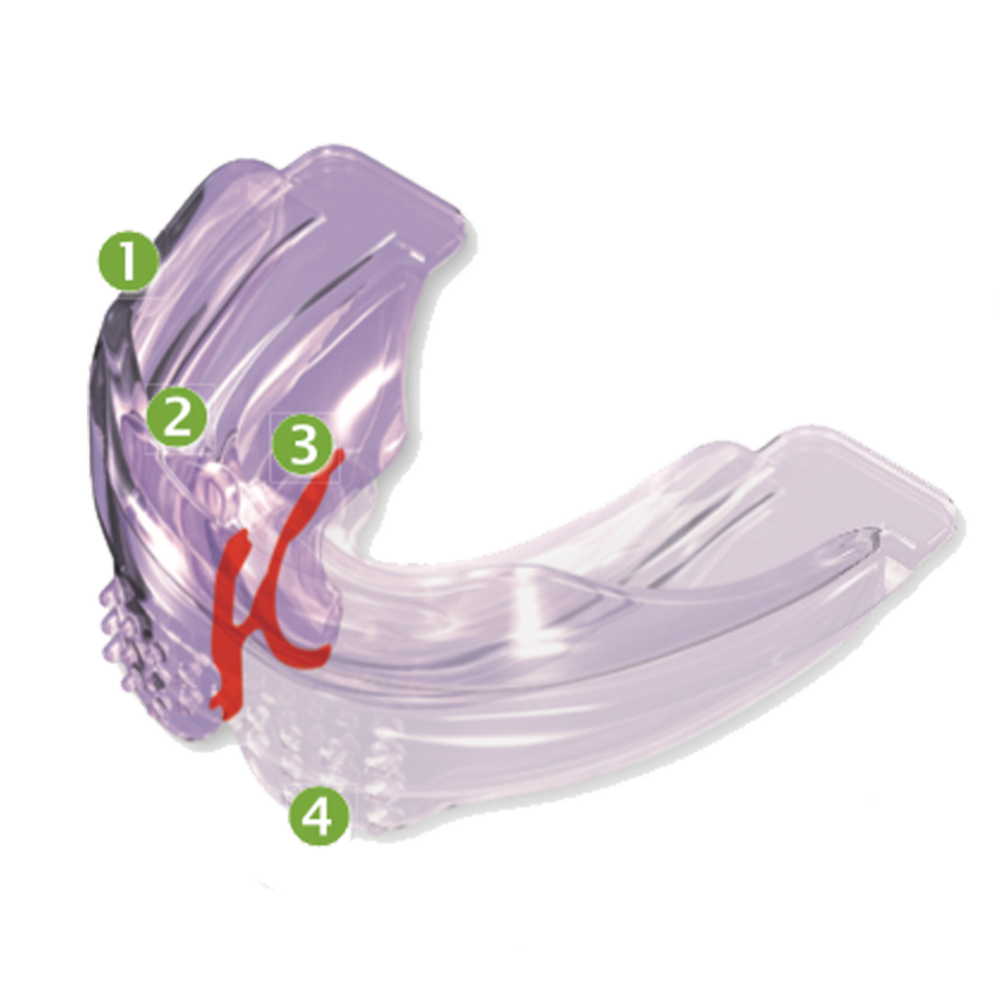 Myobrace For Adults TM A2 - Orthodeal